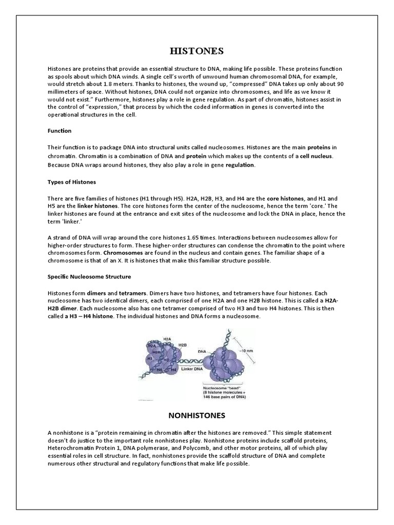 The Essential Roles of Histones and Nonhistones in DNA Organization and ...