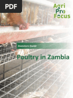 Covo Rugare Gold PLUS | PDF | Fertilizer | Seed