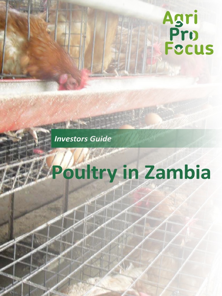 Poultry in Zambia: Investors Guide | PDF | Zambia | Chicken
