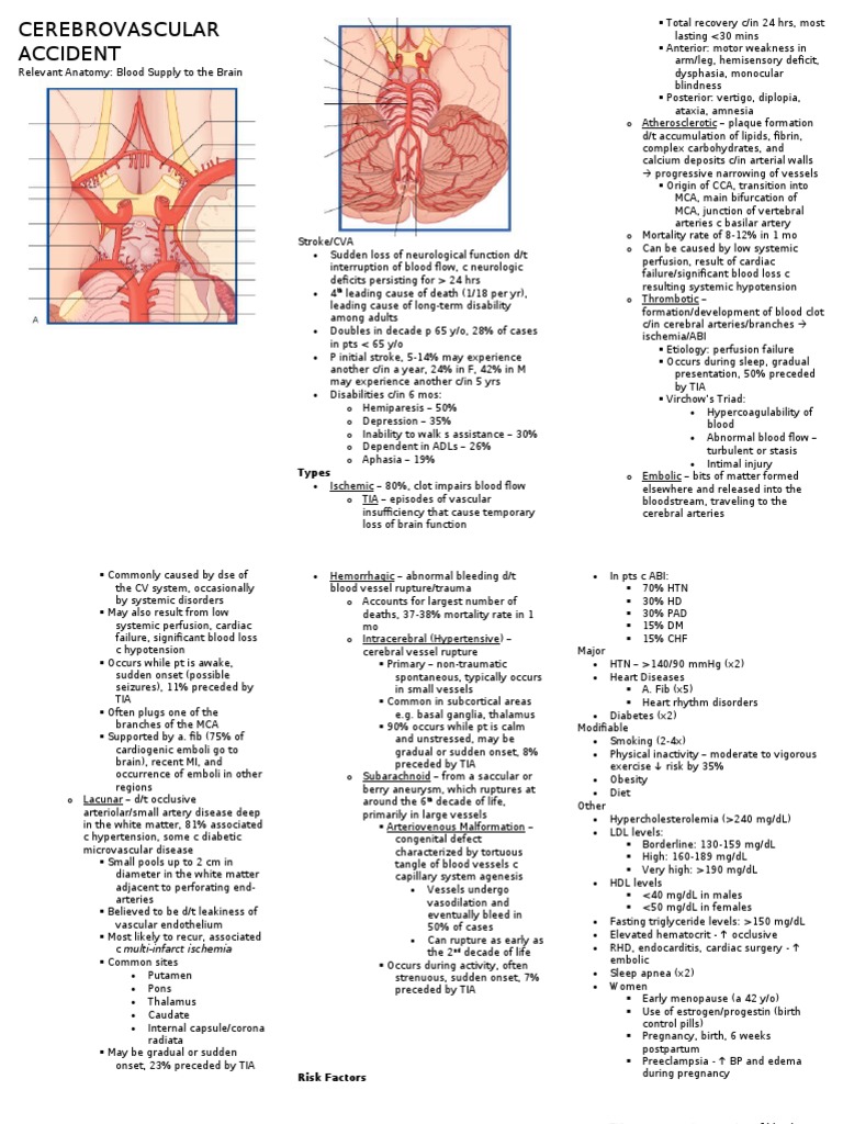Cerebrovascular Accident: Types | Stroke | Cerebral Cortex