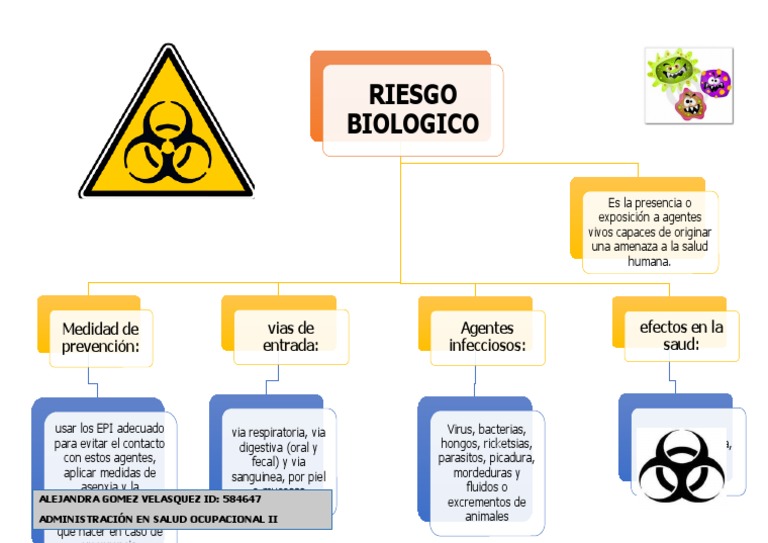 Mapa Conceptual Riesgo Biologico | PDF