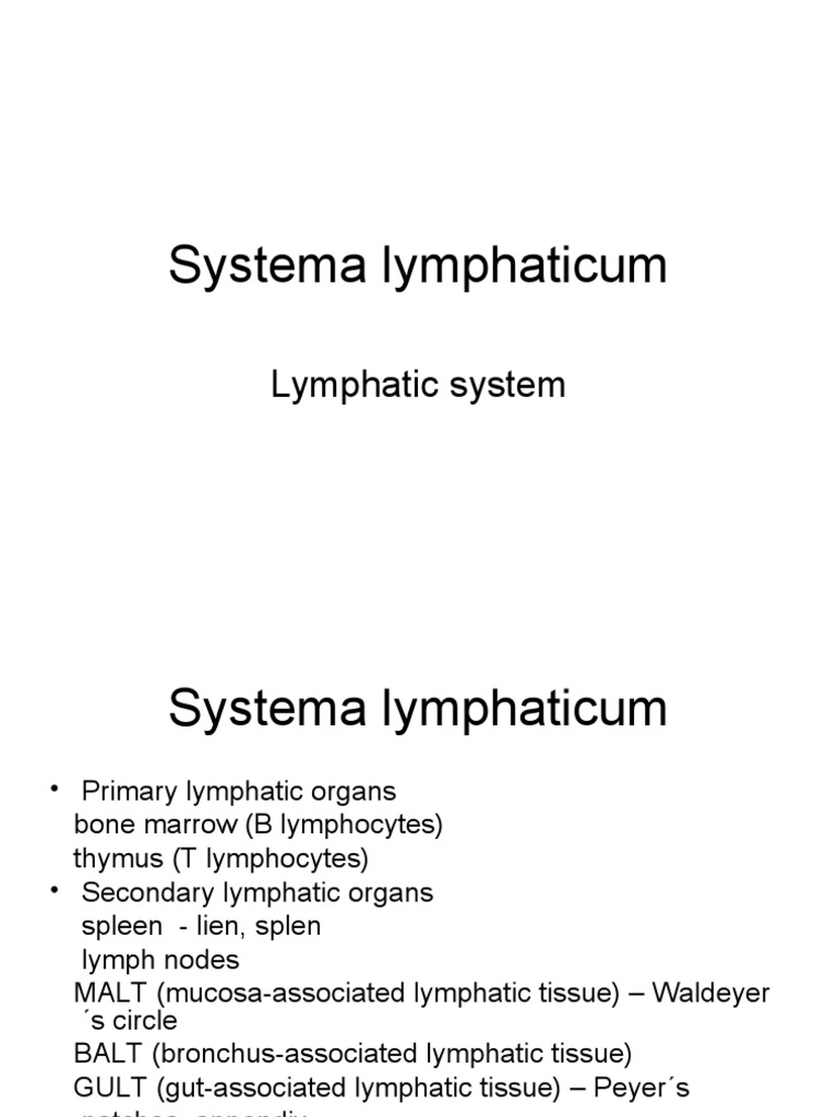 Systema Lymphaticum: Lymphatic System | PDF | Lymphatic System | Lymph Node