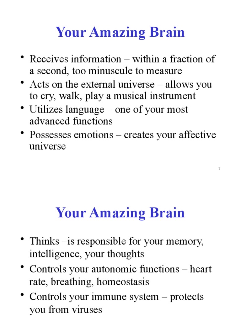 Brain | PDF | Cerebral Cortex | Autonomic Nervous System
