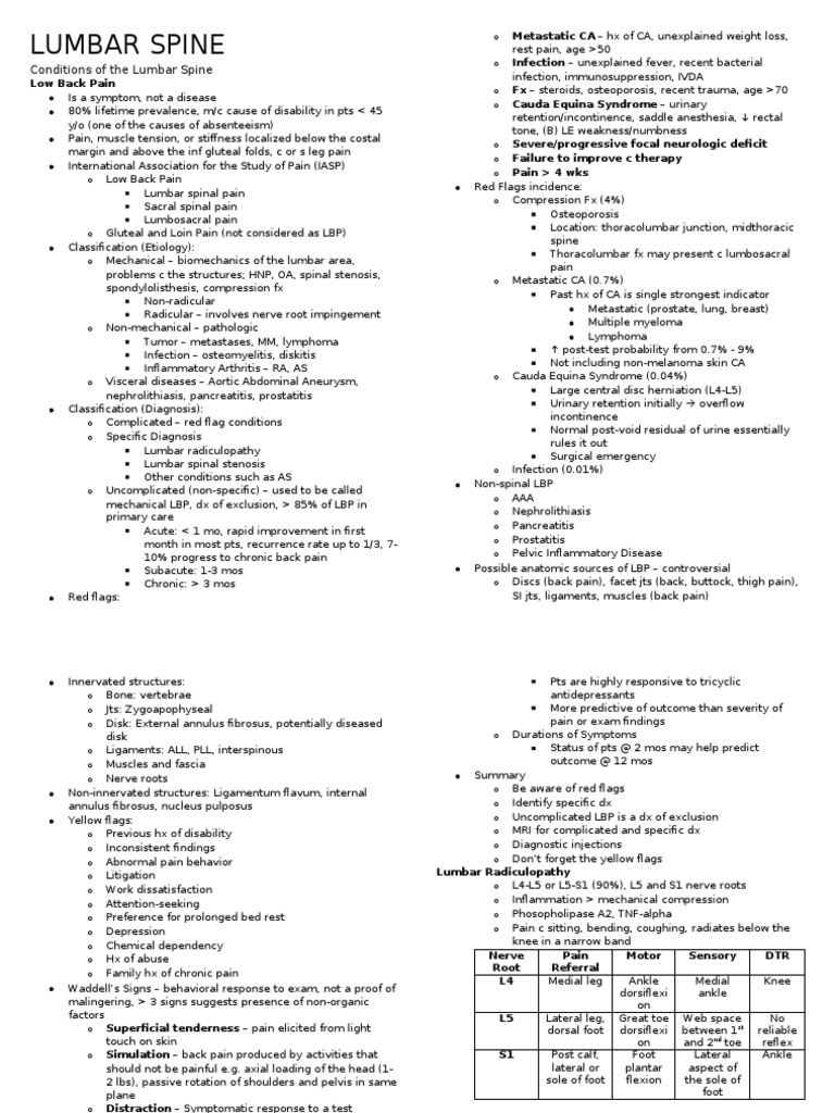 Lumbar Spine | PDF | Back Pain | Low Back Pain