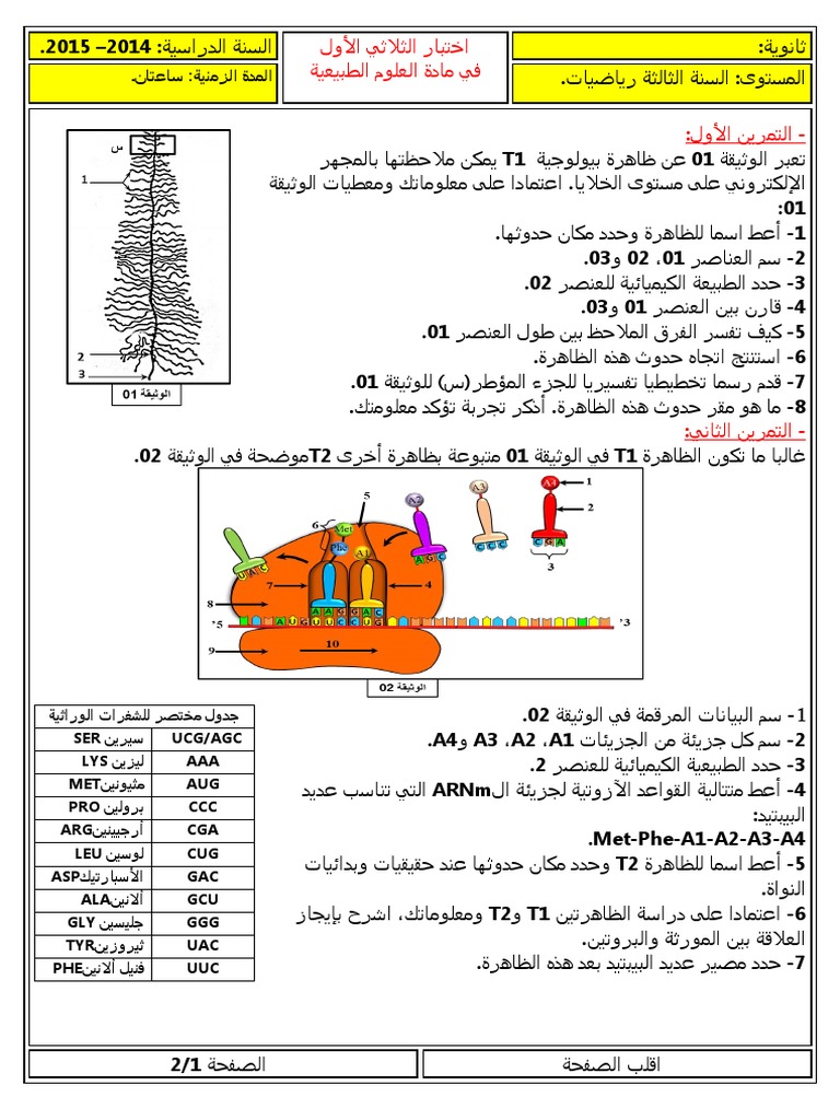 Dzexams 3as Sciences M - E1 20151 768613 PDF | PDF