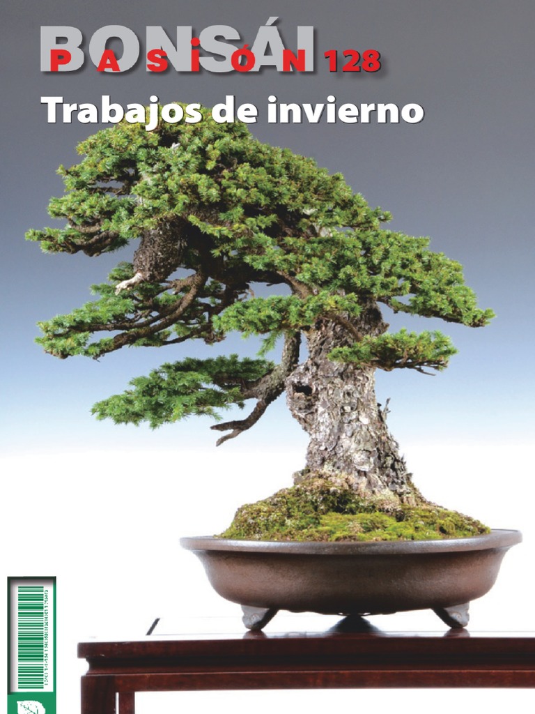 Bonsai Pasión N° 128 PDF | PDF | Arboles | Hoja