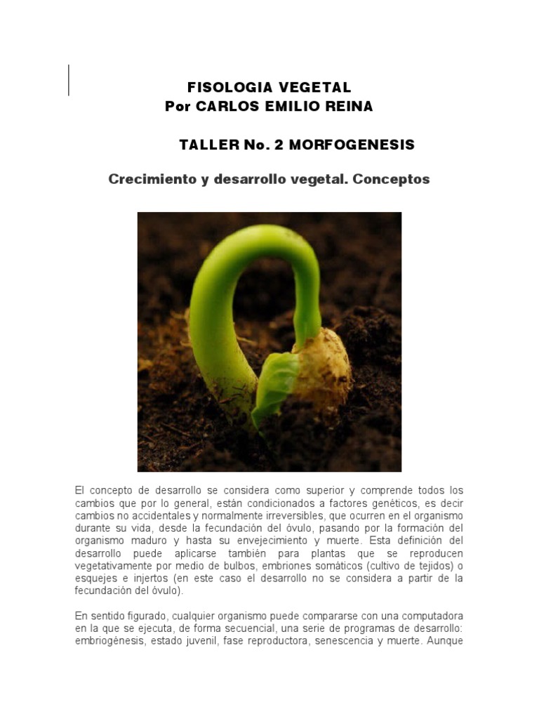 MORFOGENESIS | PDF | Diferenciación celular | Plantas