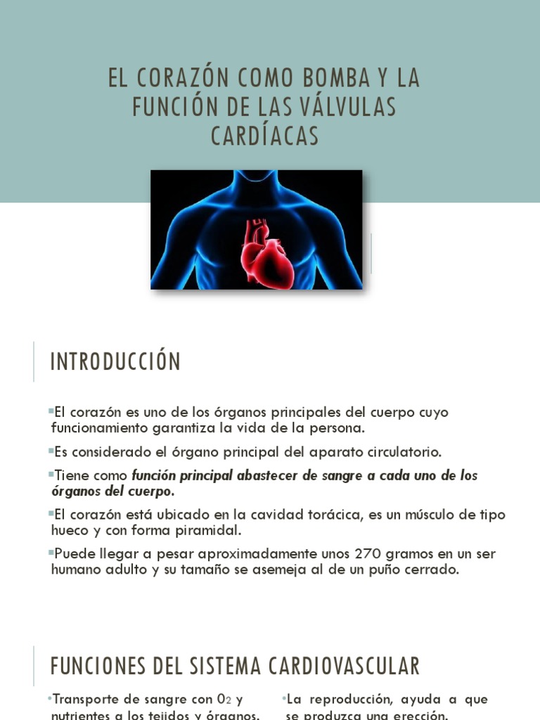 El Corazón Como Bomba | PDF | Corazón | Potencial de acción