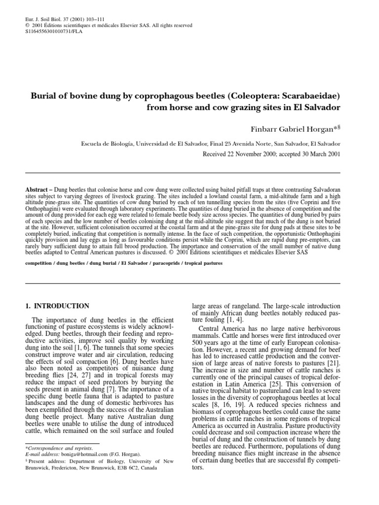 Burial of Bovine Dung by Coprophagous Beetles (Coleoptera: Scarabaeidae ...