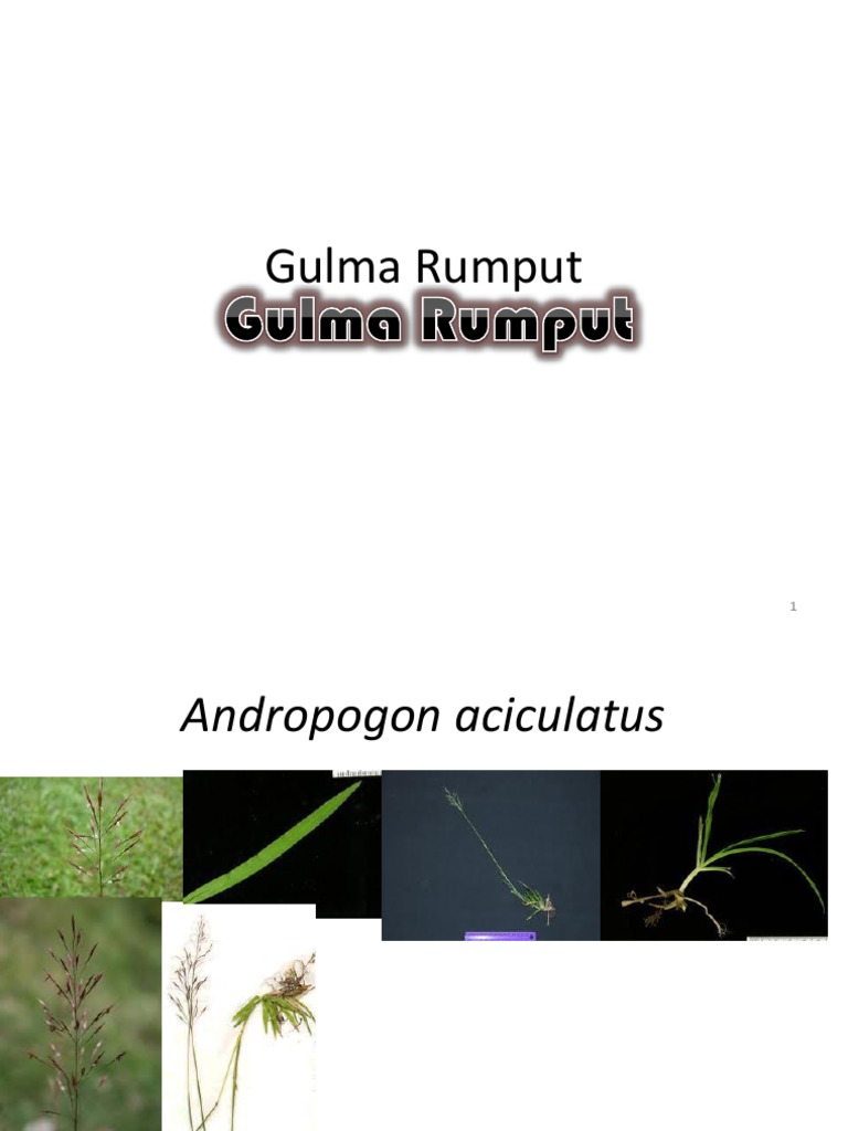 Gulma Rumput.1 PDF | PDF | Sains & Matematika | Fiksi Umum