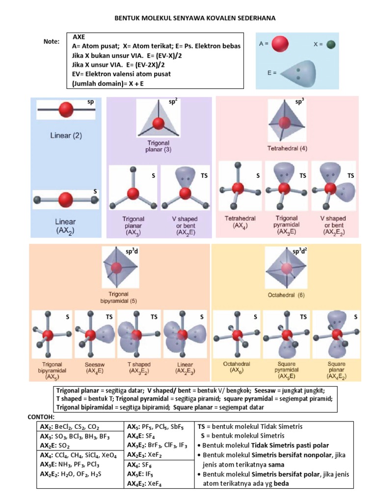 Vsepr (Axe) PDF | PDF | Seni