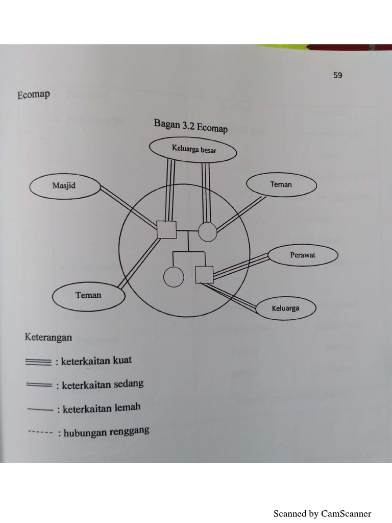 Contoh Ecomap Pdf Pdf