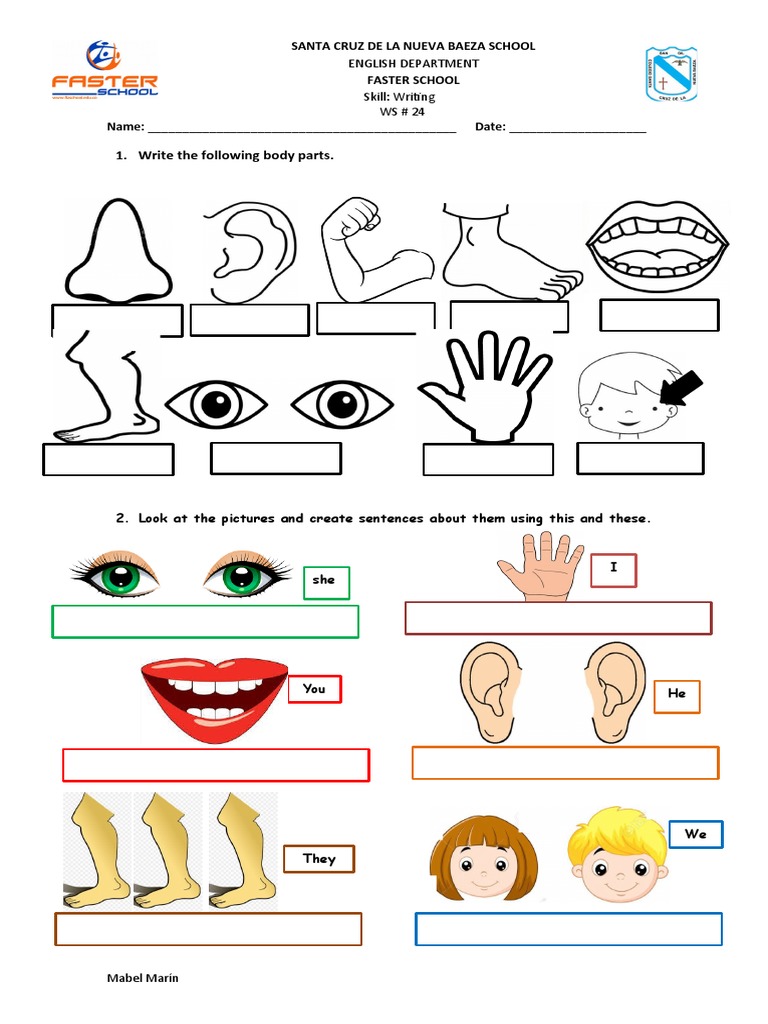 Body Parts Writing Worksheet | PDF