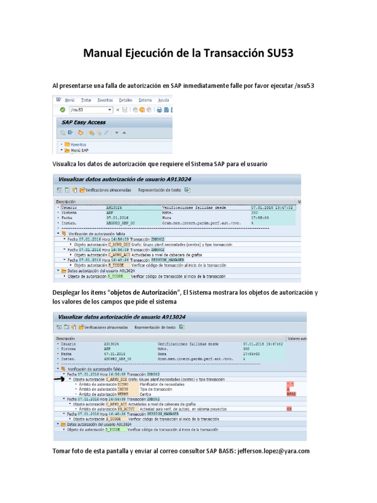 Manual de Transacción SU53 en SAP | PDF