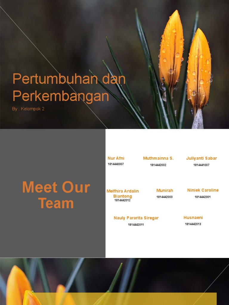 Fistum ICP - PPT Pertumbuhan Dan Perkembangan | PDF