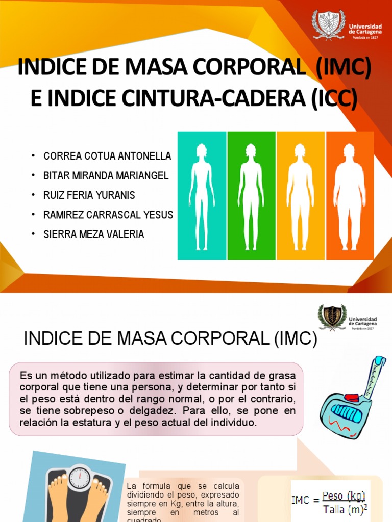 Indice de Masa Corporal (Imc) E Indice Cintura-Cadera (Icc) | PDF | Índice de masa corporal ...