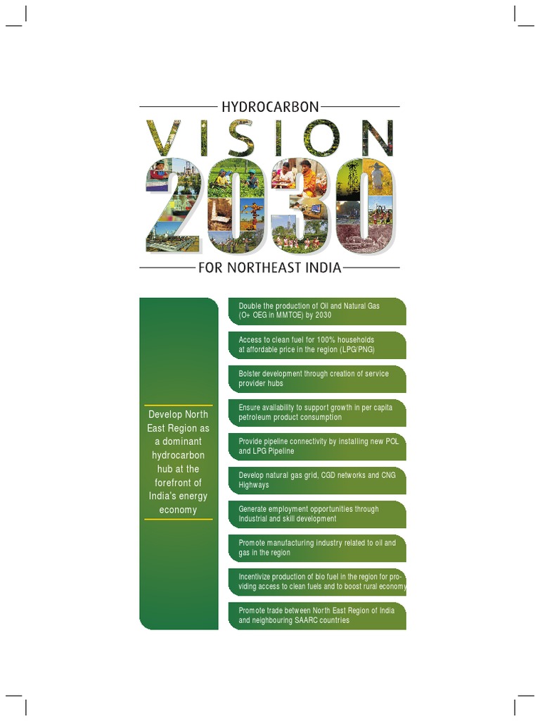 HC Vision 2030 | PDF | Liquefied Petroleum Gas | Petroleum