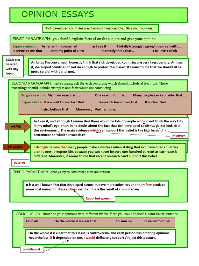 Writing Opinion Essays on Environment | PDF | Opinion | Reason