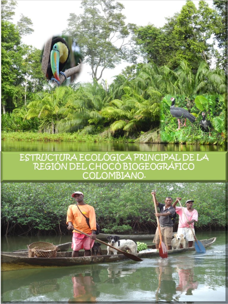Estructura Ecológica Principal de La Región Del Chocó Biogeográfico ...