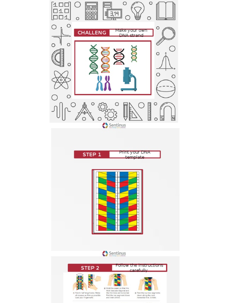 Your Challeng E: Make Your Own DNA Strand | PDF | Dna | Handedness