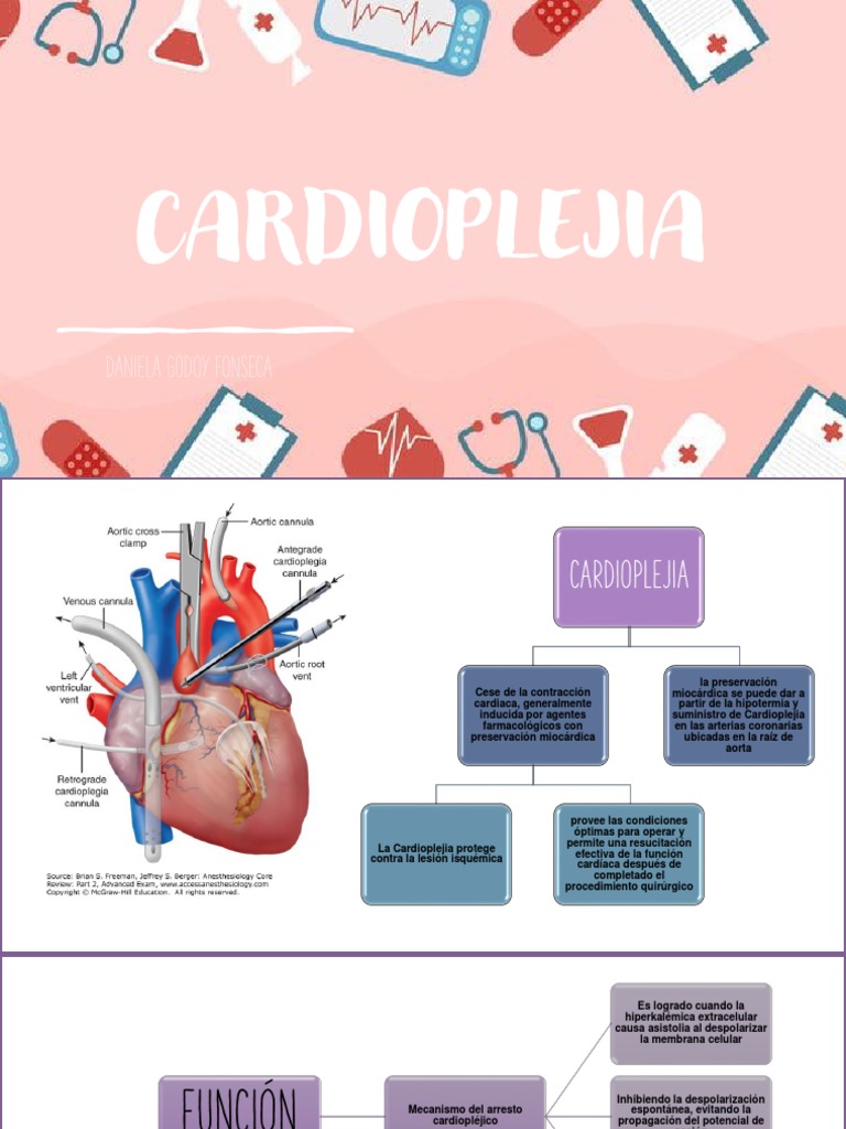 Guia Cardioplejia Dani | PDF | Sistema circulatorio | Fisiología
