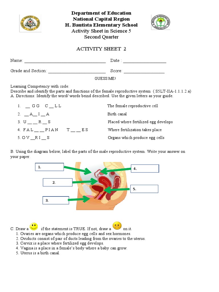 Activity Sheet in Science 5 Second Quarter Activity Sheet 2 | PDF ...
