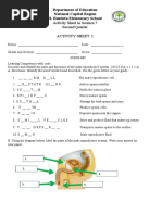 Male Reproductive System | PDF | Testicle | Prostate