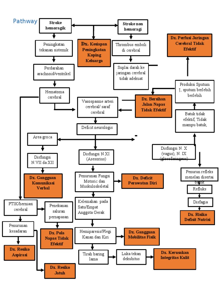 Pathway Stroke | PDF