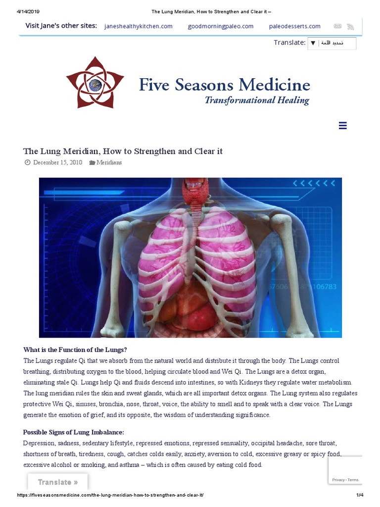 The Lung Meridian, How To Strengthen and Clear It | PDF | Lung | Qi