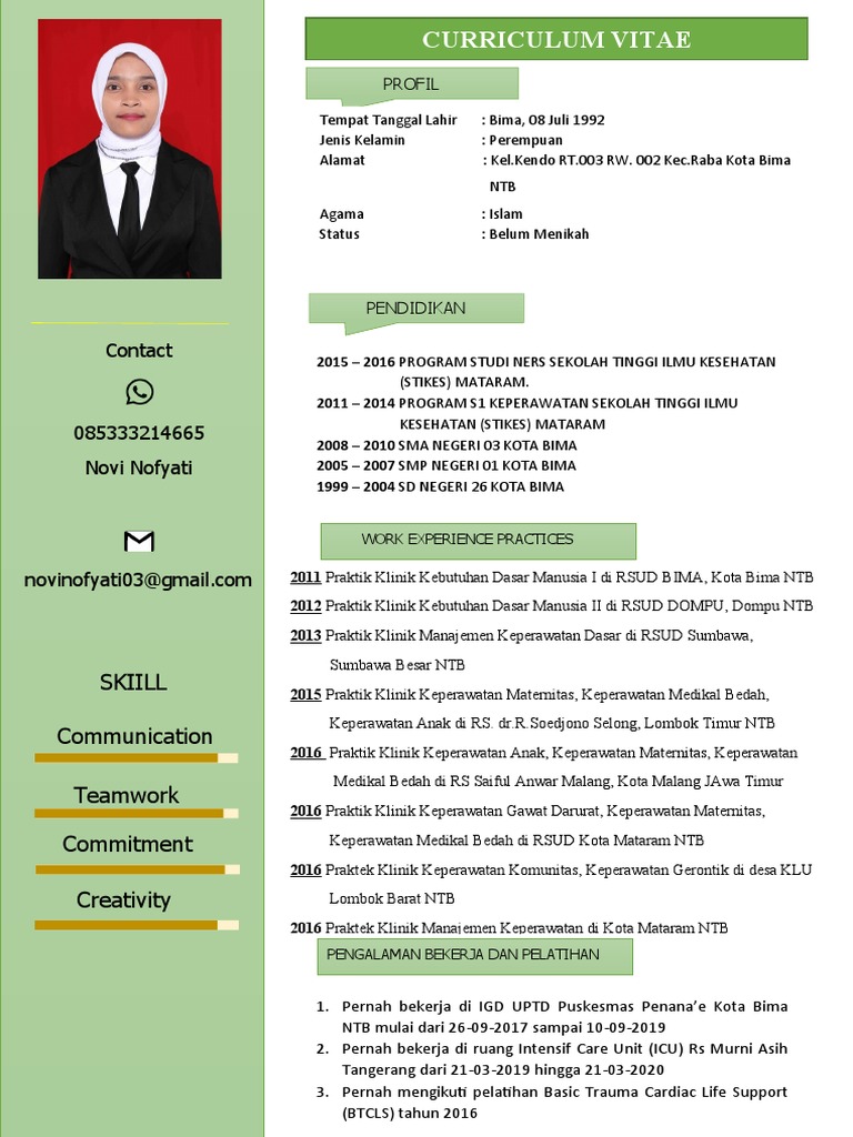 Curiculum Vitae (CV) Novi | PDF | Kesehatan Holistik