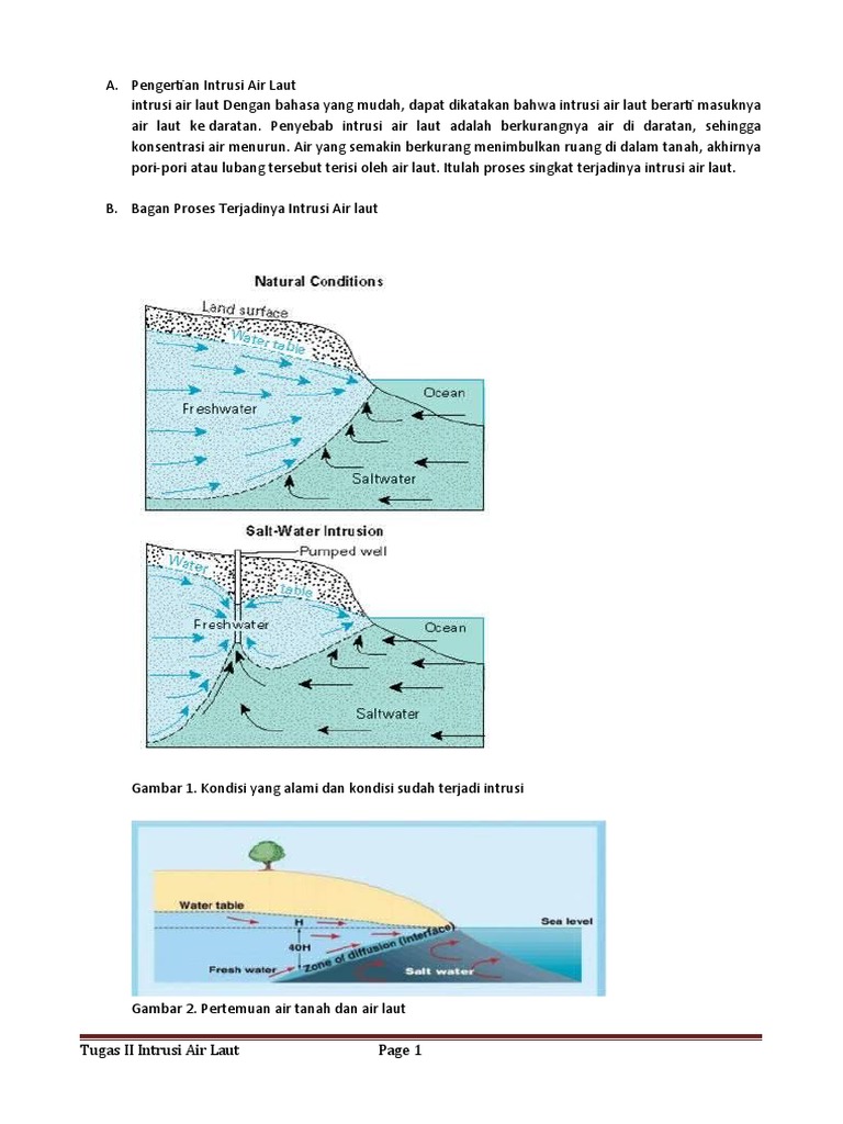 Penyebab dan Proses Intrusi Air Laut | PDF | Sains & Matematika