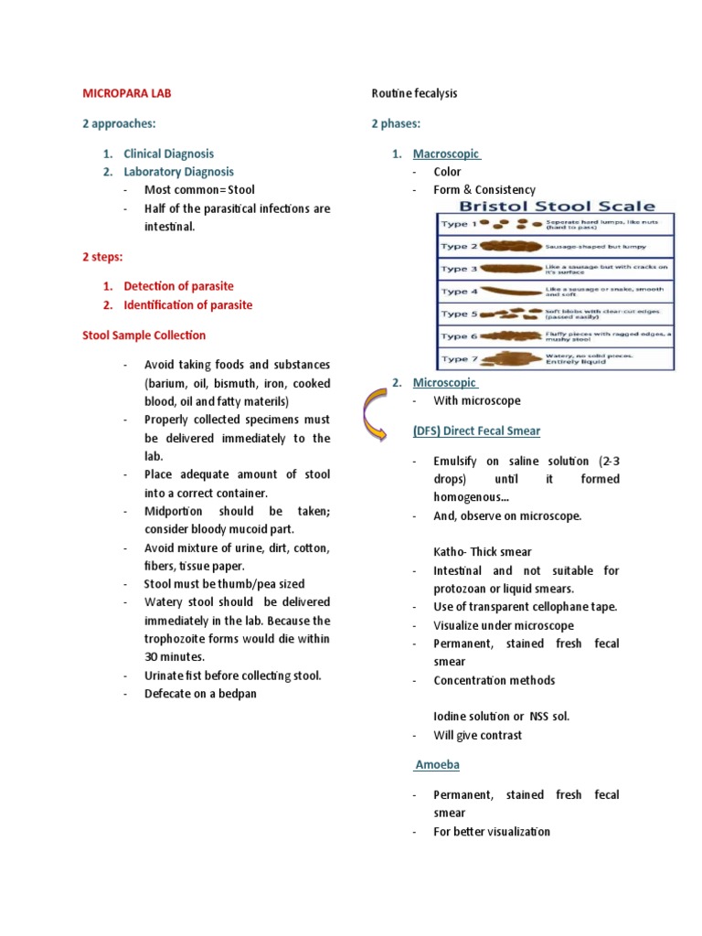MICROPARA LAB Reviewer | PDF | Human Feces | Plasmodium