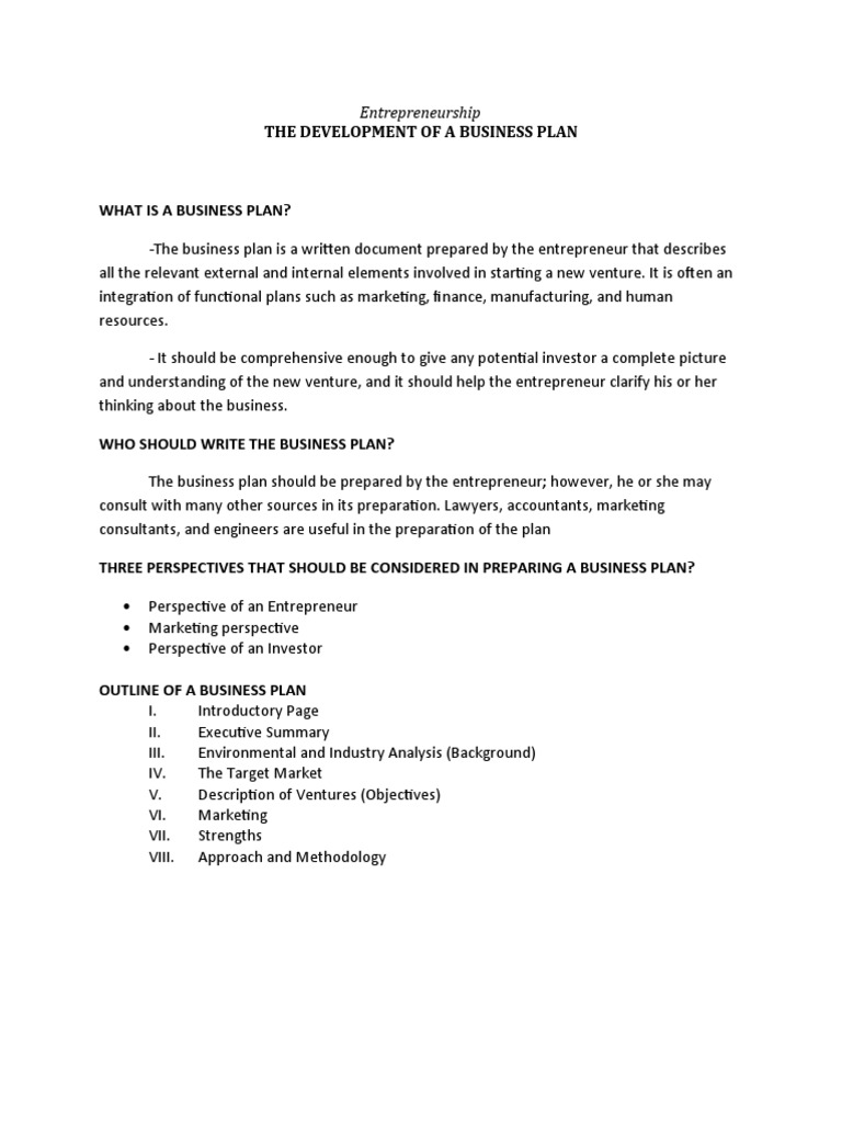 The Development of A Business Plan: Entrepreneurship | PDF ...