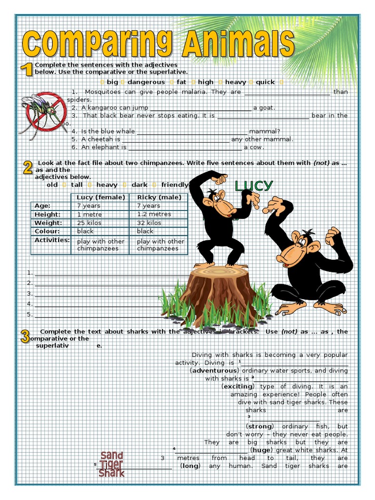 Comparing Animals | PDF | Nature
