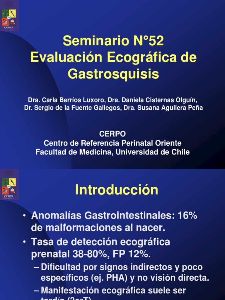 Seminario 52 - Evaluacion Ecografica de Gastrosquisis - Archivo | PDF | Abdomen | Ultrasonido médico