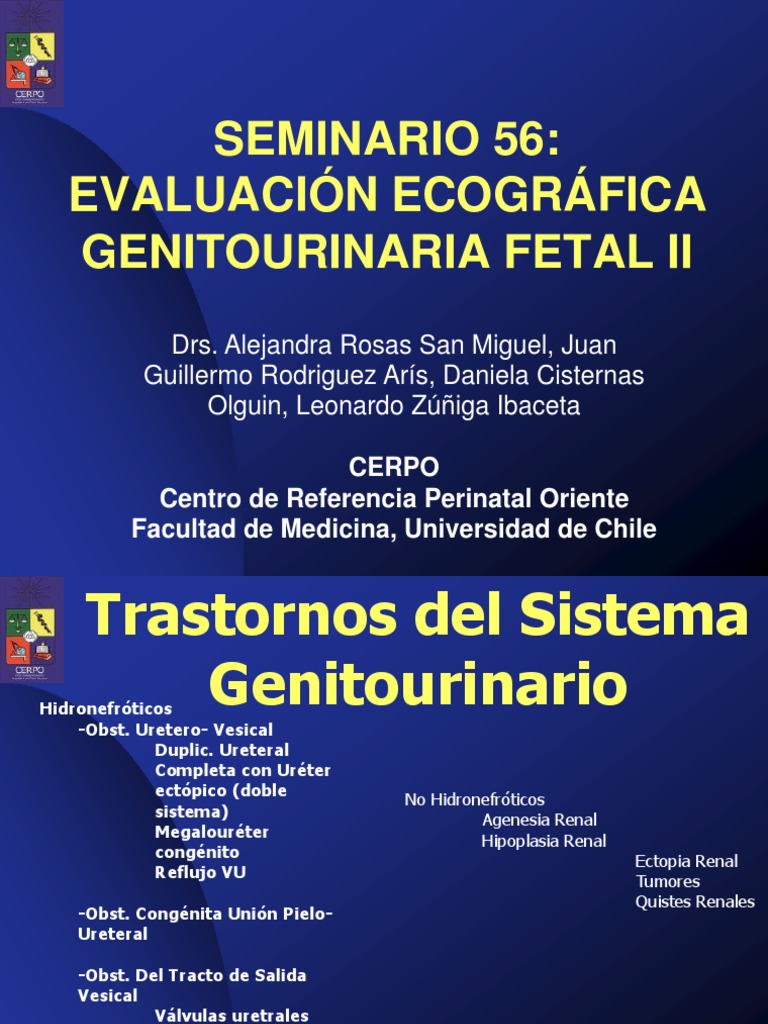 Seminario 56 - Evaluacion Ecografica Tracto Urinario Fetal II - Archivo | PDF | Sistema urinario ...