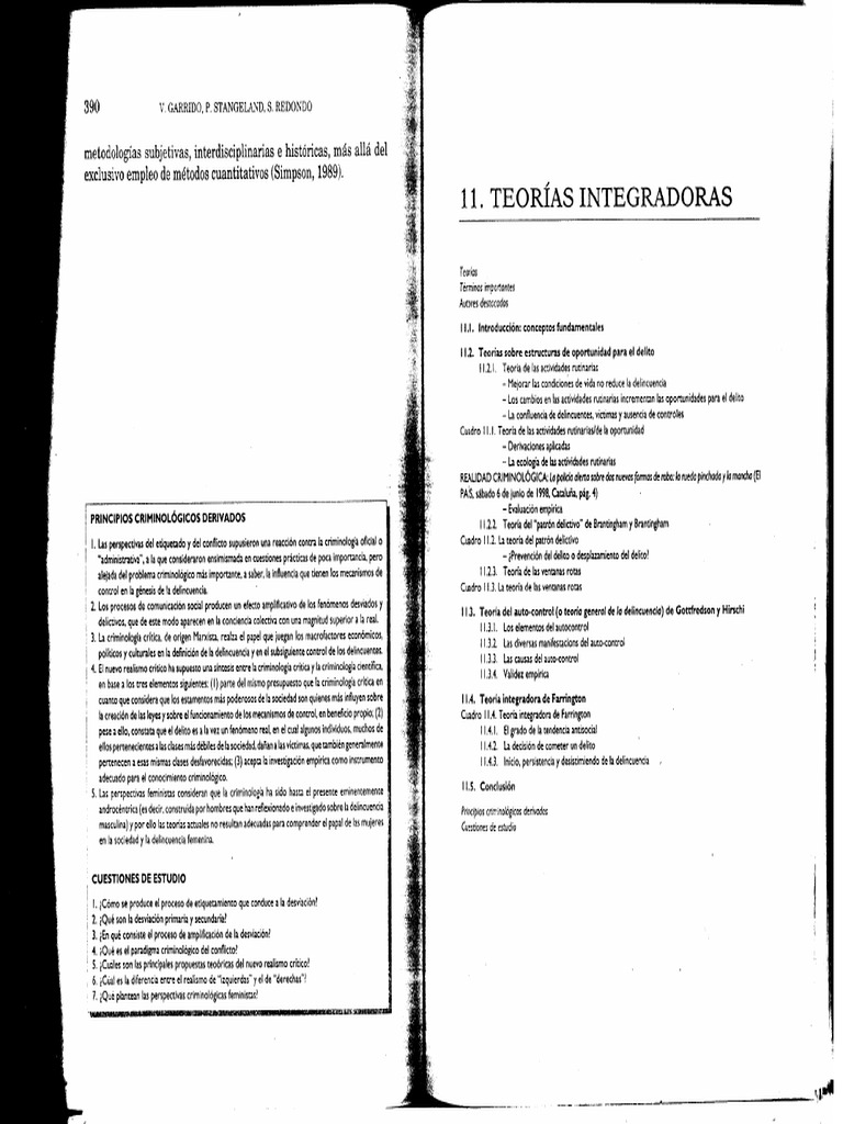 Teorias Integradoras | PDF
