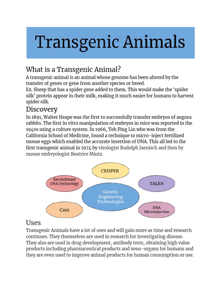 Notebook 6 - Transgenic Animals 1 | PDF