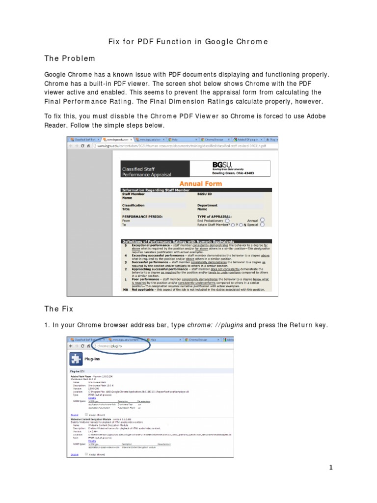 Disable Chrome PDF Viewer Fix | PDF | Business | Computers