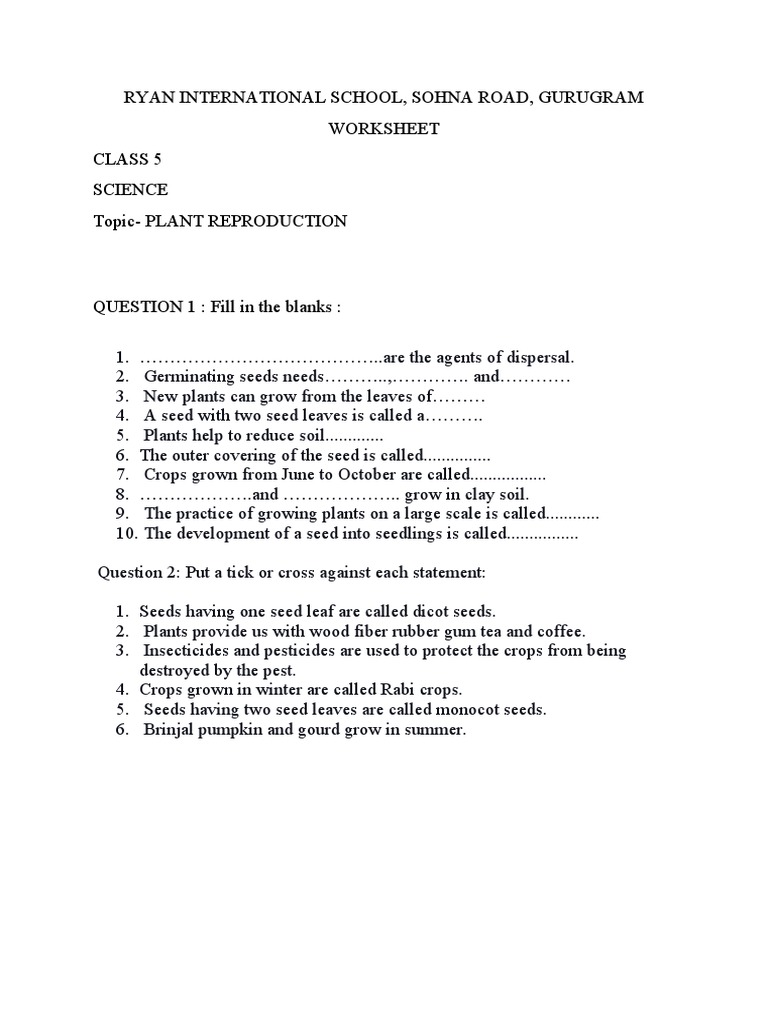 Ryan International School, Sohna Road, Gurugram Worksheet Class 5 ...