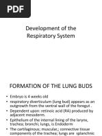 Embryology of the Respiratory System | PDF | Lung | Larynx