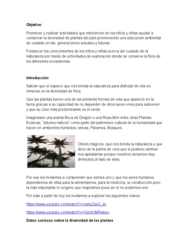 Actividades de Observacion | PDF | Plantas | Arboles