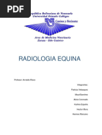 Caudectomia | PDF | Perros | Cirugía