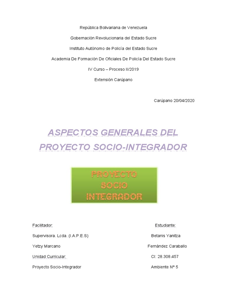 Proyecto Socio Integrador - Aspectos Fundamentales | PDF | Diseño | Motivación