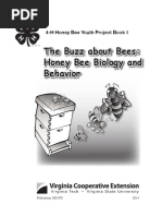BSS Progression and Strategy Guide | PDF | Bees | Beehive