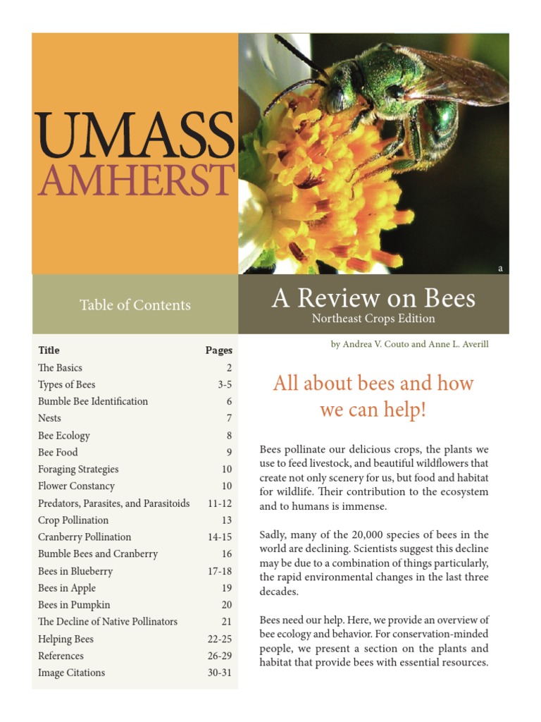 A Review On Bees: All About Bees and How We Can Help! | PDF | Honey Bee ...