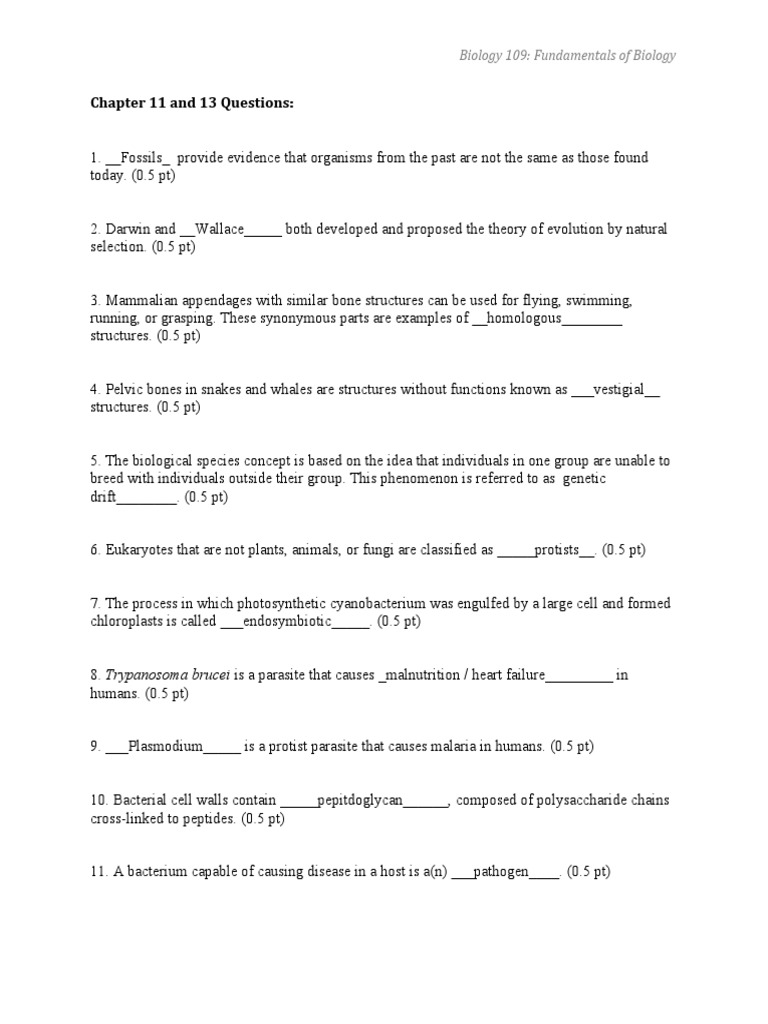 Chapter 11 and 13 Questions | PDF