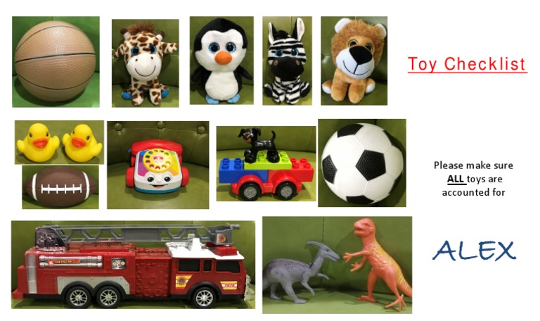Toy Checklist One Sheeter | PDF