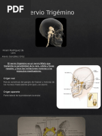1 Region Superciliar | PDF | Cráneo | Anatomía humana