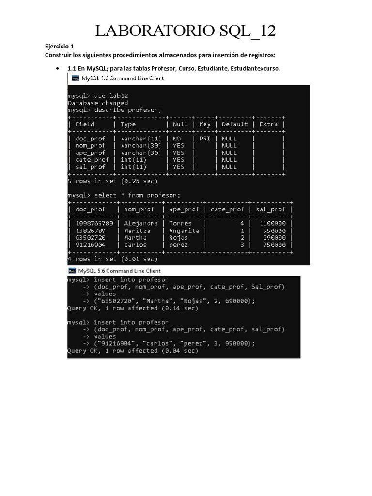 Laboratorio SQL - 12 | PDF | SQL | Póliza de seguros